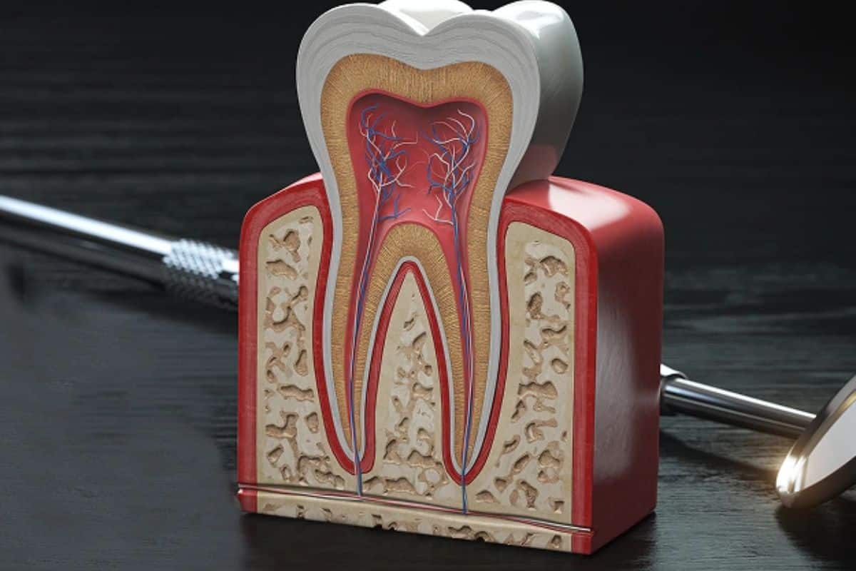 Say Goodbye to Tooth Pain with Root Canals